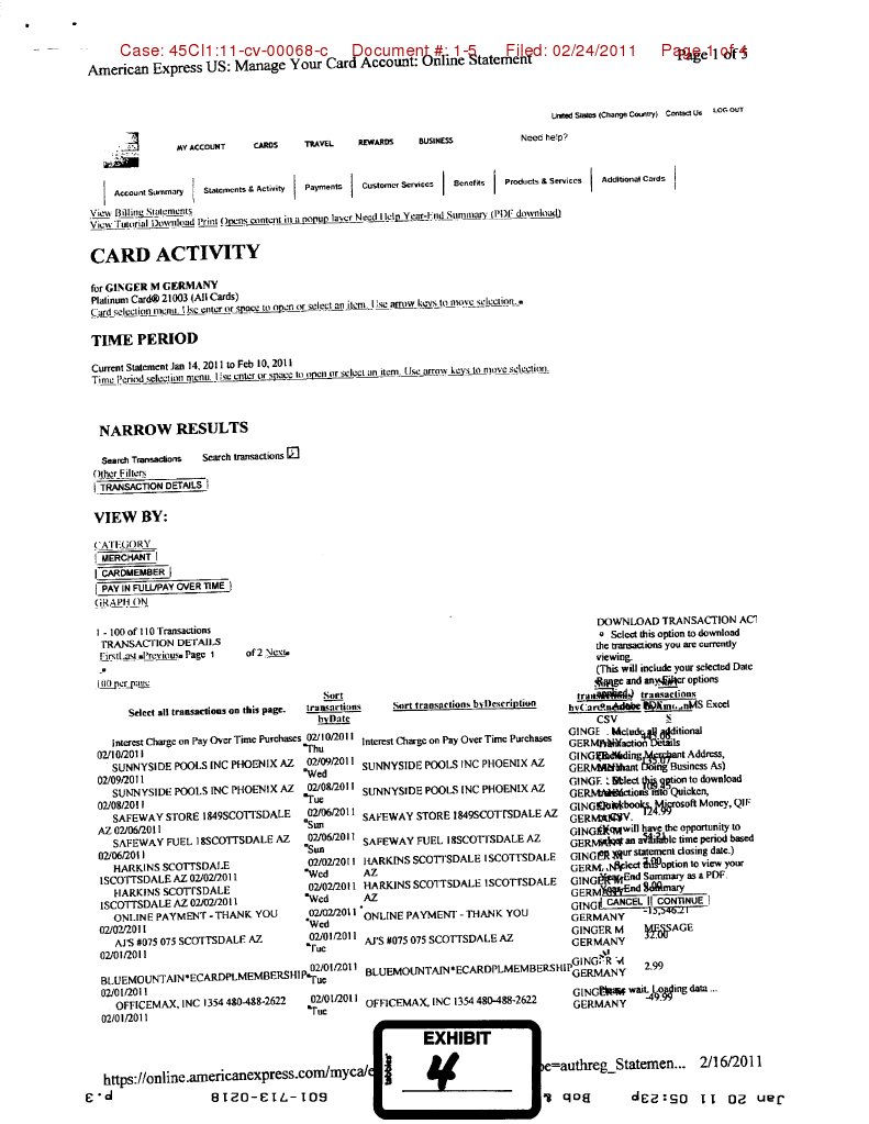 Amex Statement | PDF