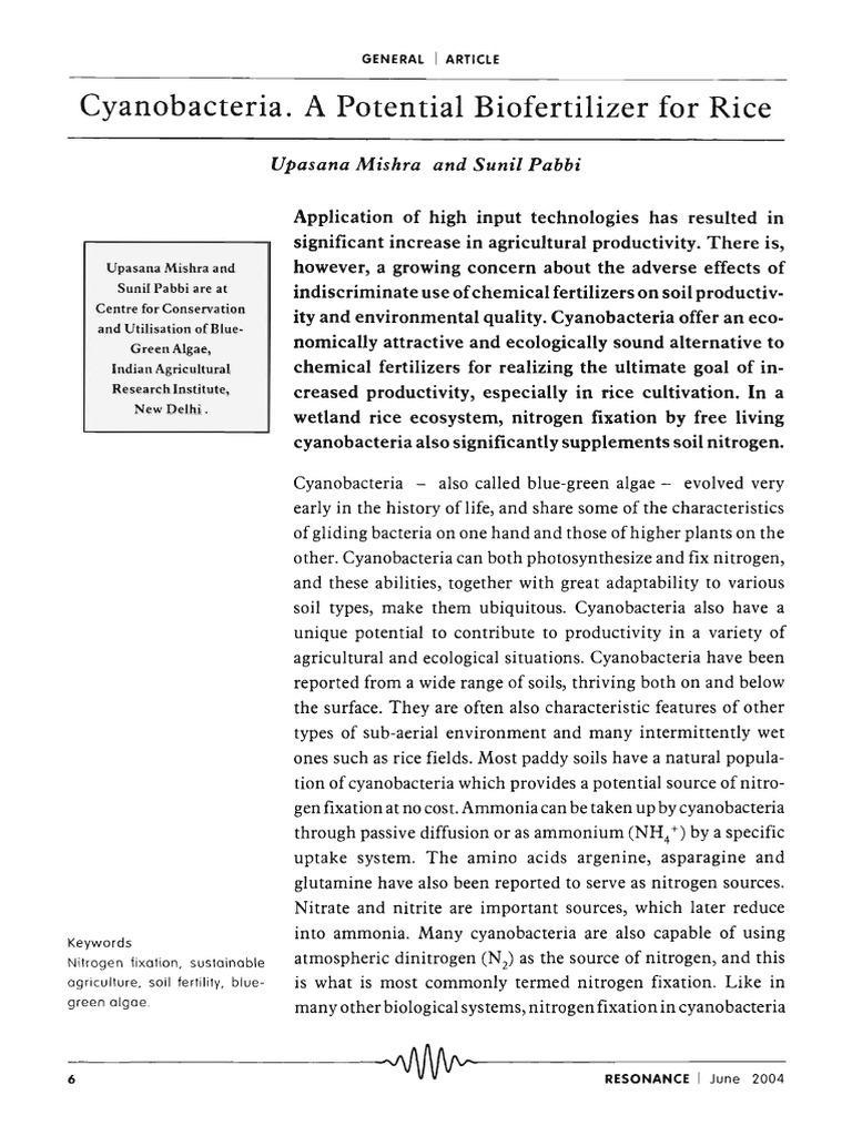 Cyanobacteria. A Potential Biofertilizer For Rice | PDF | Cyanobacteria ...
