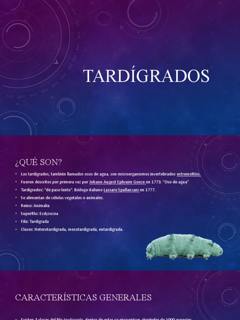 Tardígrados | PDF | Taxa | Naturaleza