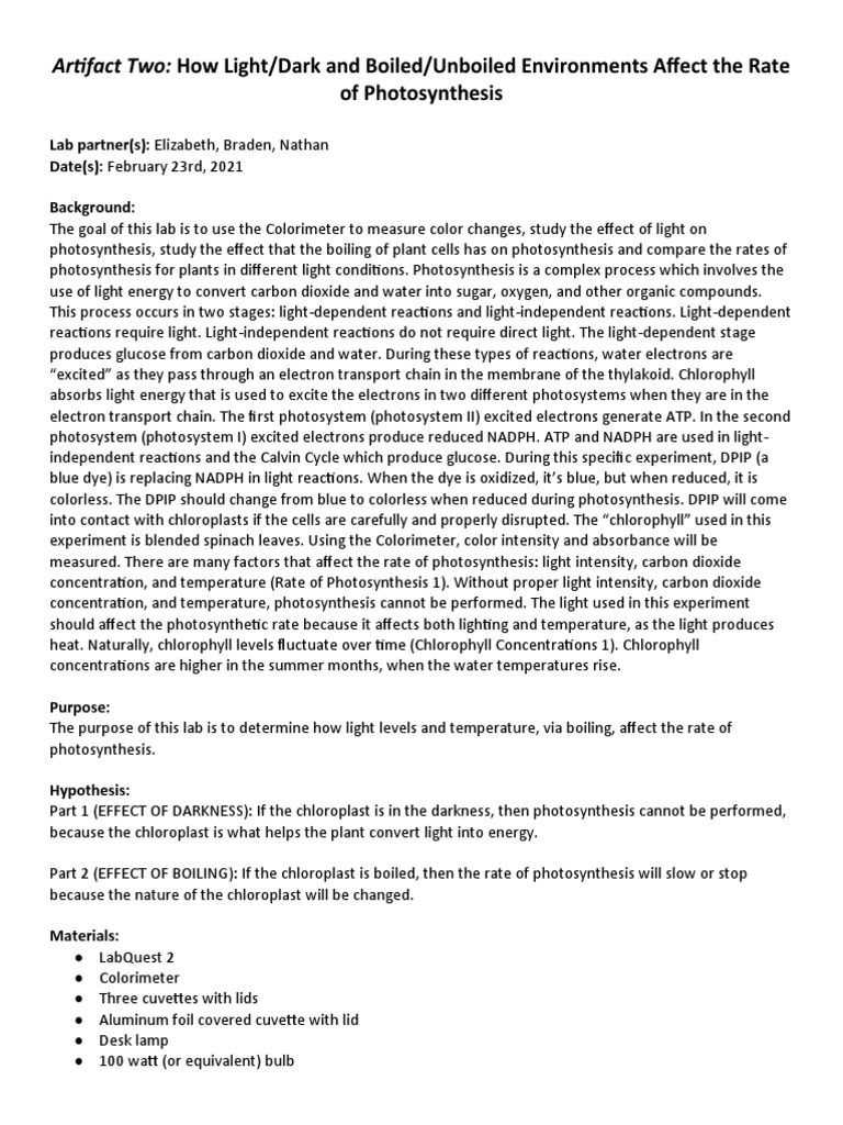 Photosynthesis Lab and Report | PDF | Photosynthesis | Photochemistry