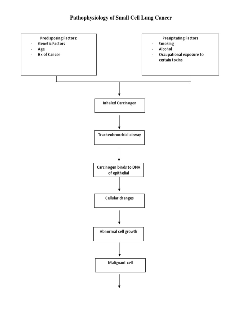 Small Cell Lung Cancer Pathophysiology | PDF