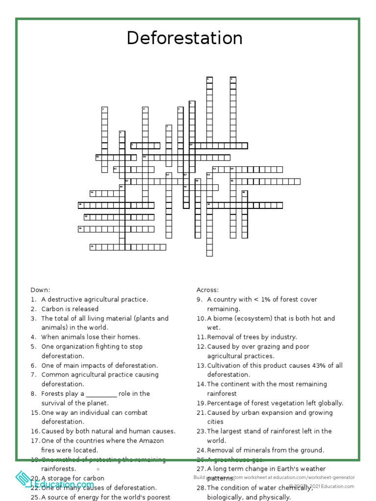 Rhena Janine Palma - Worksheet | PDF | Deforestation | Rainforest