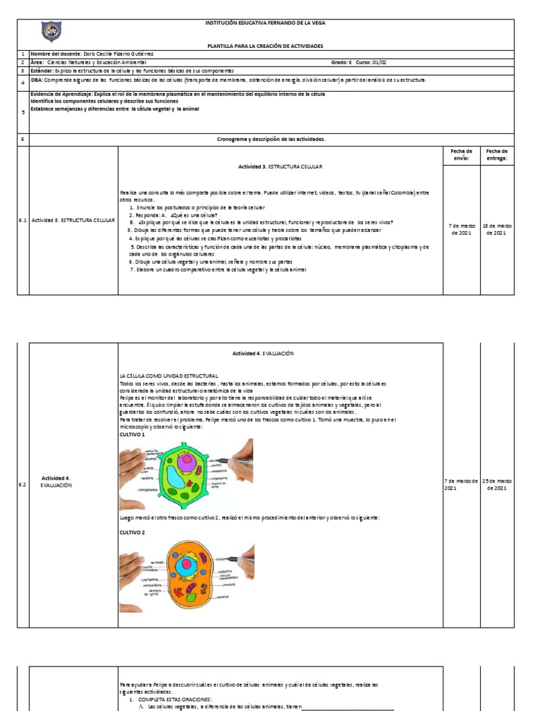 Estructura y funciones de la célula | PDF | Ribosoma | Biología Celular)