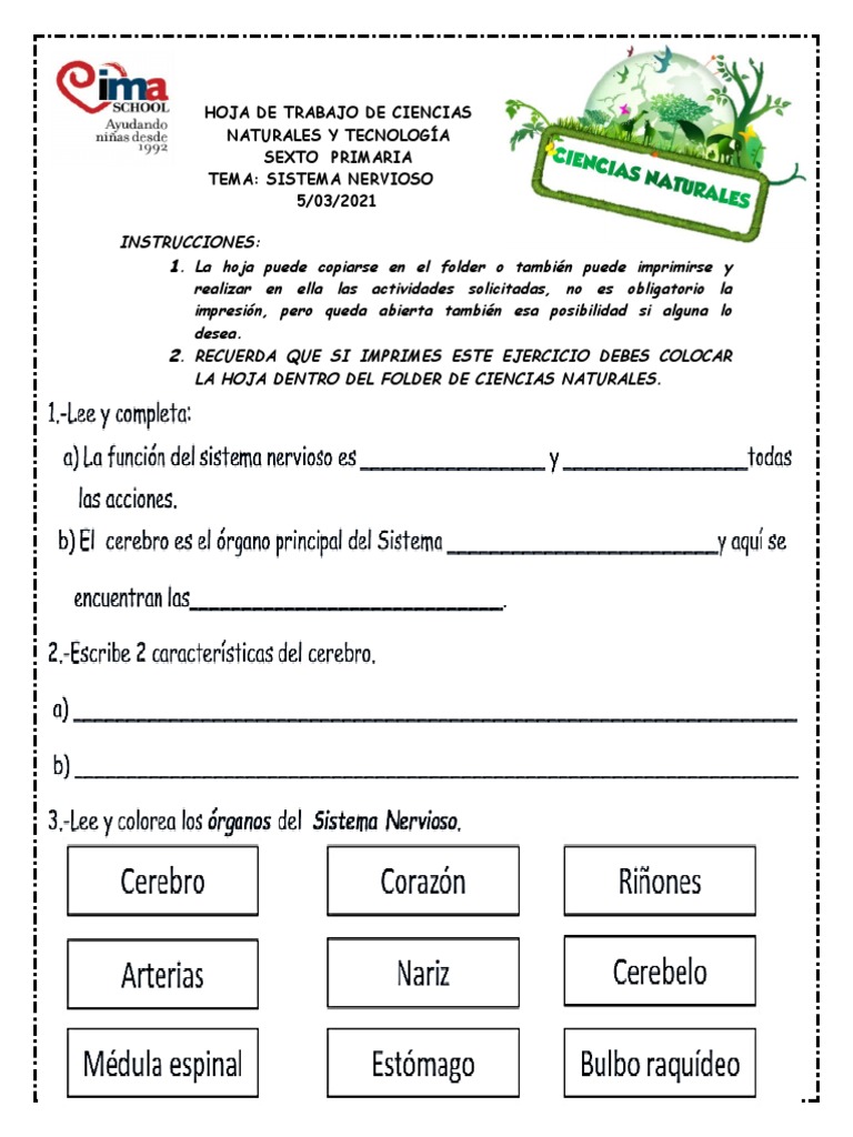 Hoja De Trabajo Para Sexto Grado Hoja De Trabajo De Capitalización