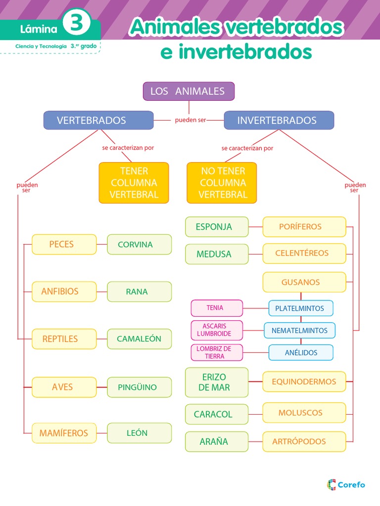 2018 Cyt3p U3 Lamina Animales Vertebrados e Invertebrados | PDF