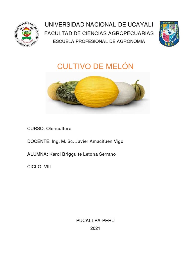Cultivo de Melon | PDF | Tallo de la planta | Hoja