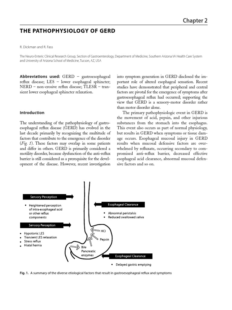 The Pathophysiology of Gerd: Abbreviations Used | PDF ...