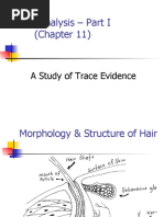 Hair Anatomy and Physiology 1 | PDF | Hair | Integumentary System