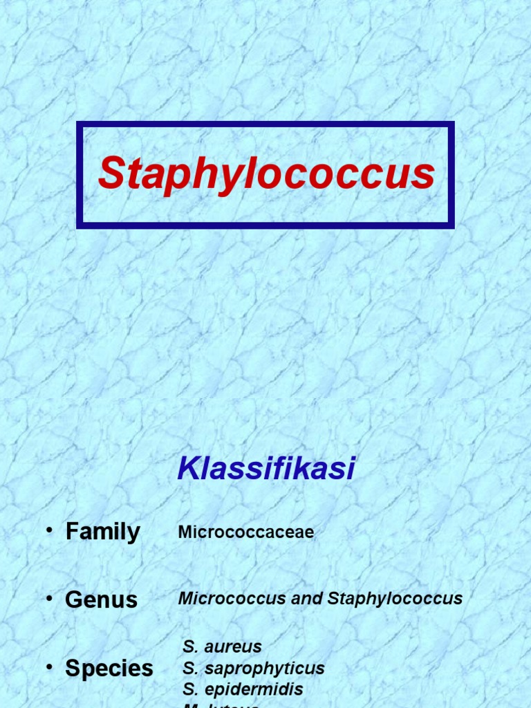 Staphylococci | PDF | Streptococcus | Staphylococcus