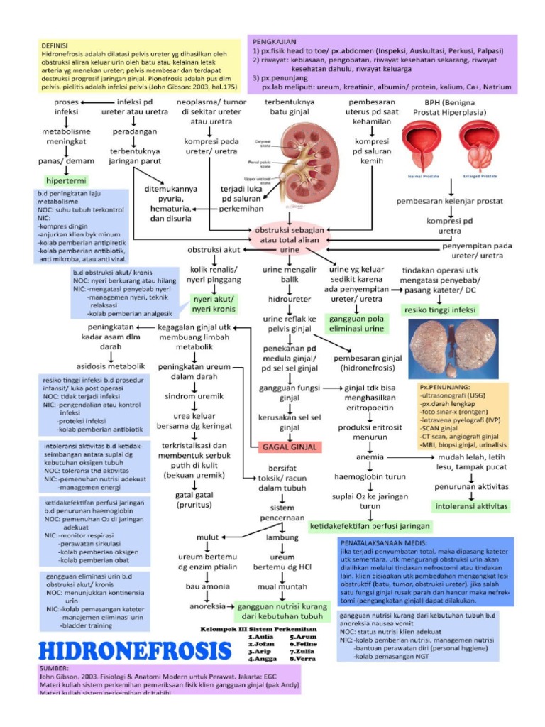 Skema Hidronefrosis | PDF