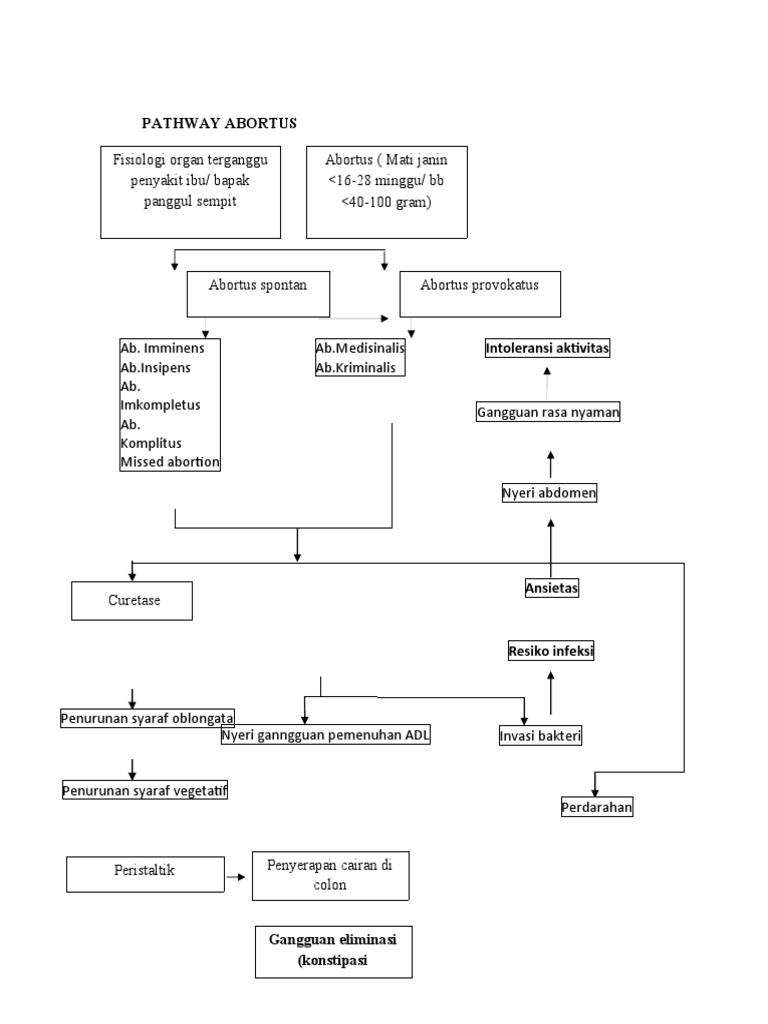 Pathway Abortus | PDF