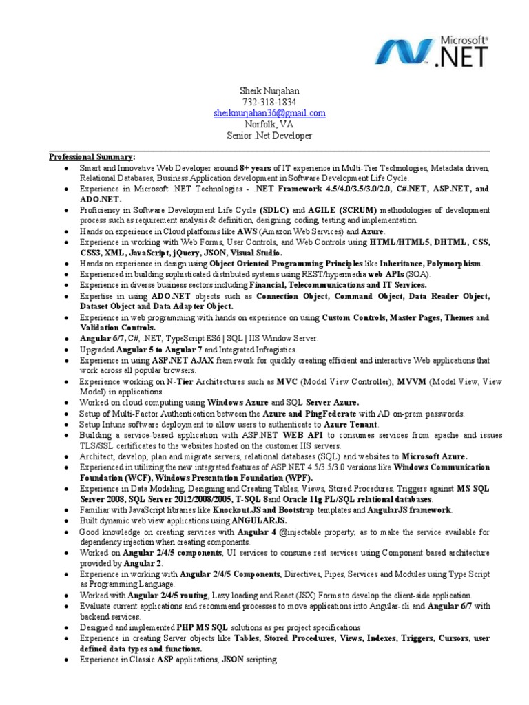 Resume and Experience Summary of a Senior .NET Developer | PDF ...