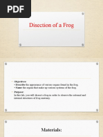 Lab Report - Frog Dissection | PDF | Frog | Anatomy