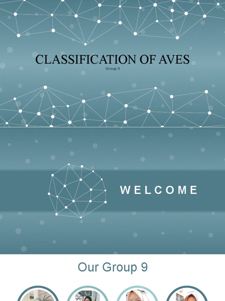 Aves Classification Guide | PDF | Beak | Birds
