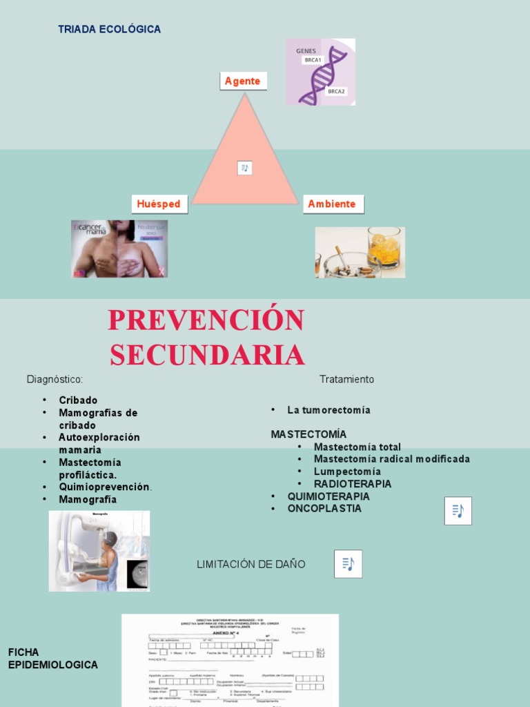 Cancer de Mama Presentacion ADA | PDF