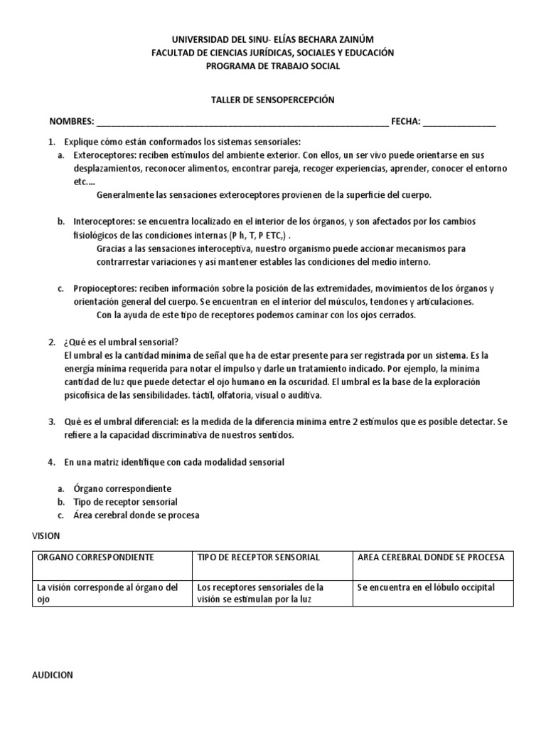 Taller Sensopercepción | PDF | Percepción | Percepción visual