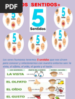 Los 7 Sentidos | PDF | Estudios de idiomas extranjeros