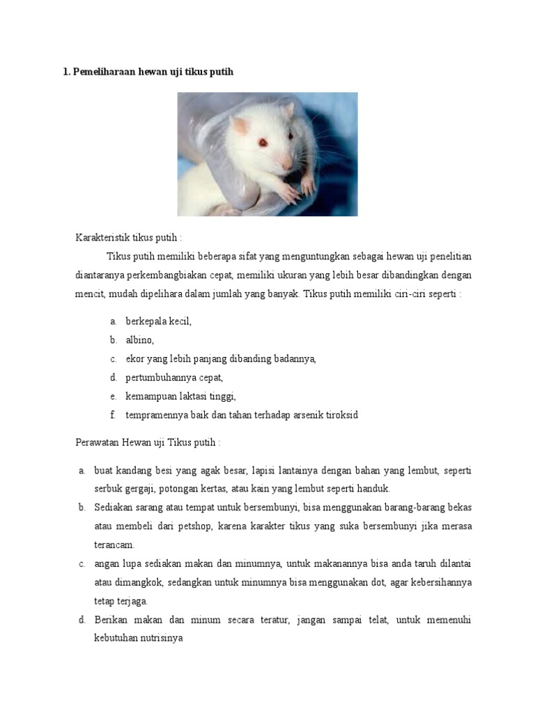 Hewan Uji Coba | PDF