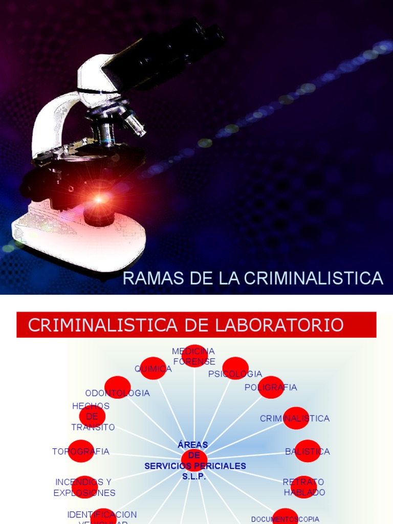 Ramas de La Criminalística | PDF | Ciencia forense | Science