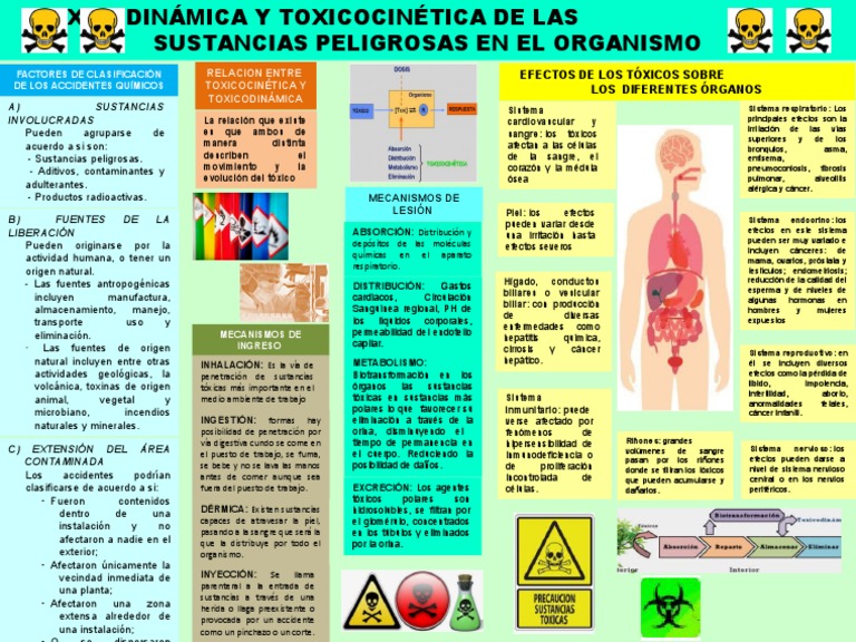Infografia Toxicologia | PDF | Cáncer | Toxicidad