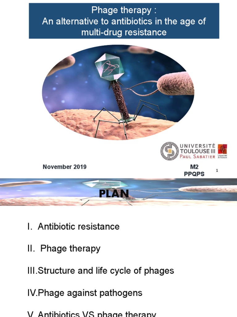Phage Therapy: A Solution to Antibiotic Resistance | PDF ...