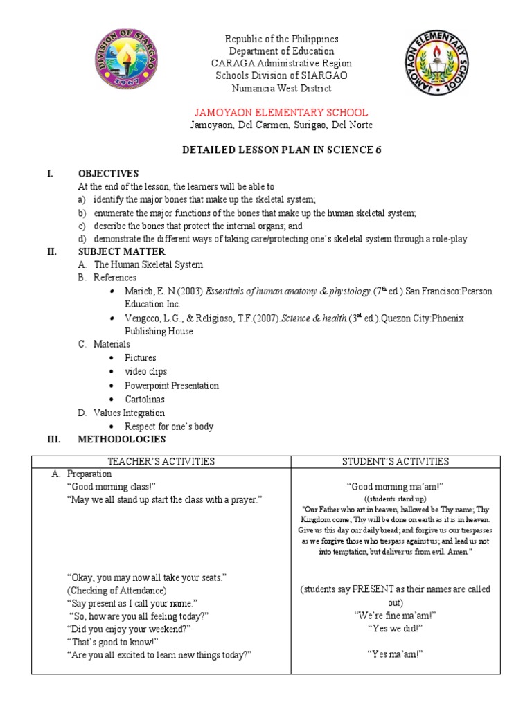Detailed Lesson Plan Skeletal System | PDF | Bone | Anatomy