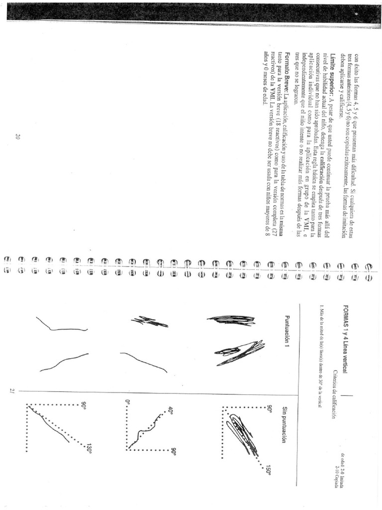 Manual de Correción VMI | PDF