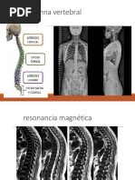 Clasificación de Keros | PDF