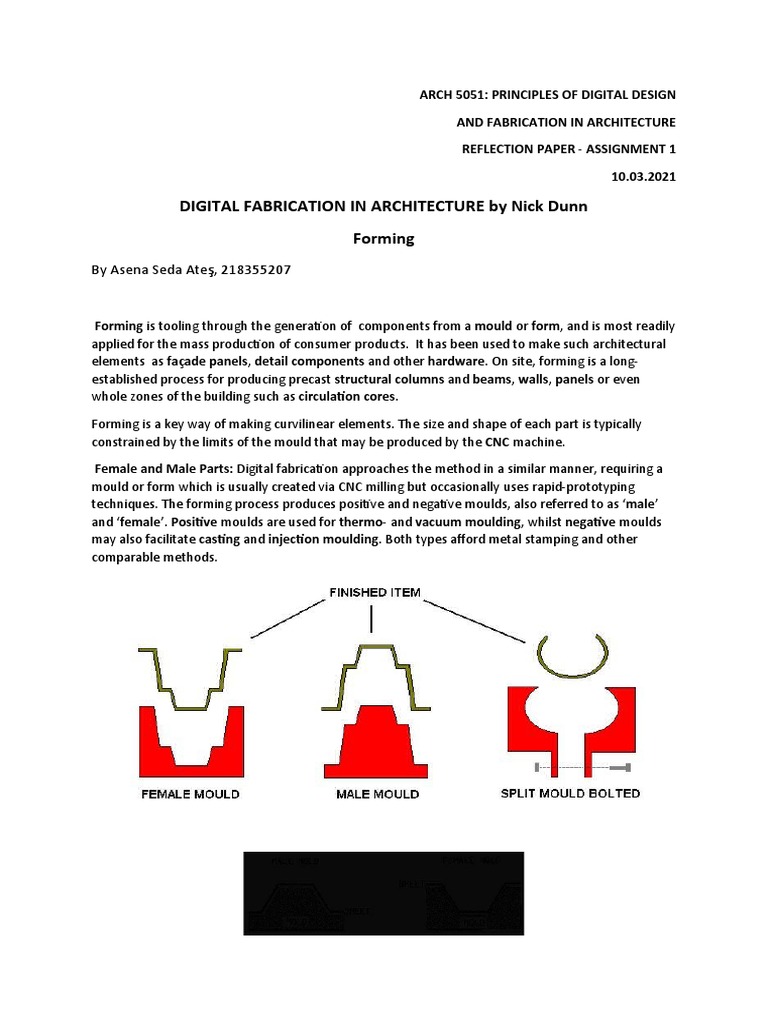 Asena Seda Ates - Assignment 2 - Reflection Paper | PDF