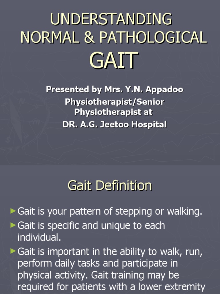 Gait Training (MIH Presentation) | PDF | Foot | Anatomical Terms Of Motion