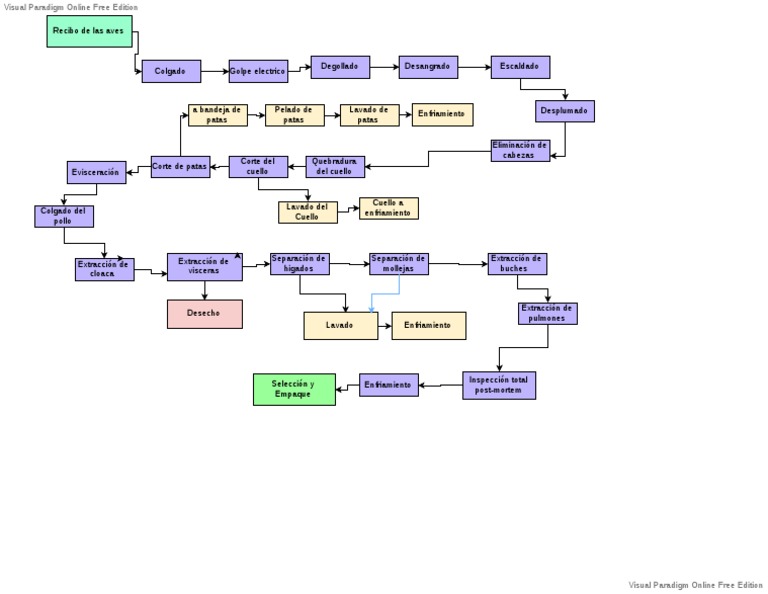 Diana - Palma - Diagrama de Flujo Proceso Avicola | PDF | Aves | Paravianos