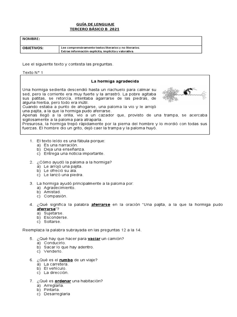 Ejercicios de Comprensión Lectora 3° Básico | PDF