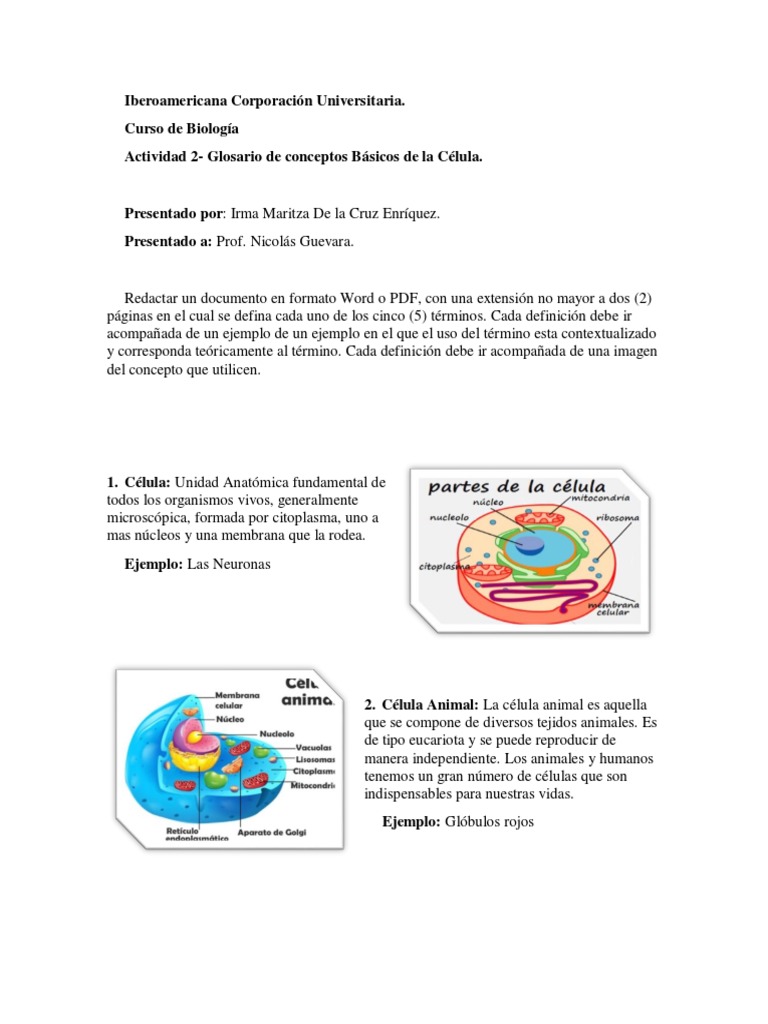 Actividad 2. Glosario de Conceptos Básicos de La Célula | PDF ...
