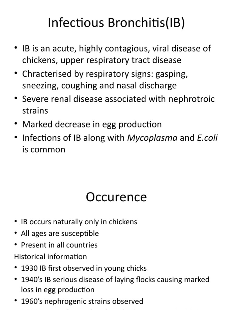Infectious Bronchitis (IB) | PDF | Infection | Anatomy