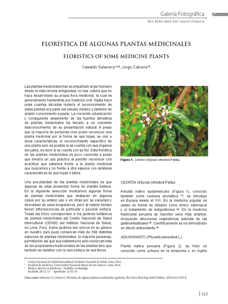 Plantas Medicinales 3 Pdf Plantas Medicinales Plantas