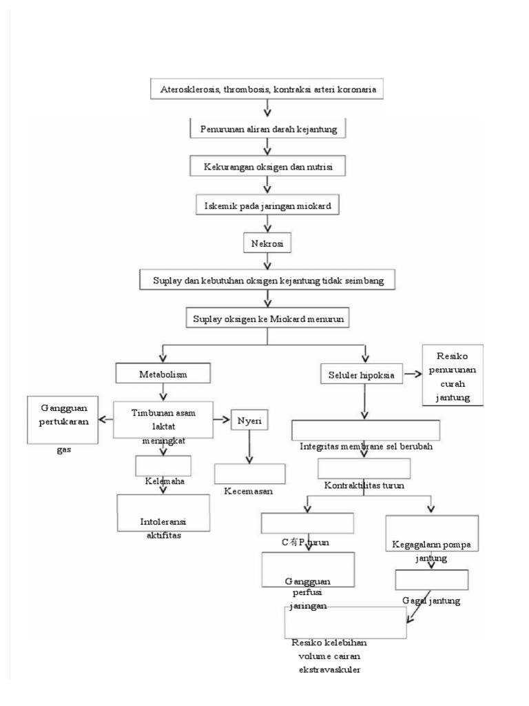 PDF Pathway Stemi | PDF