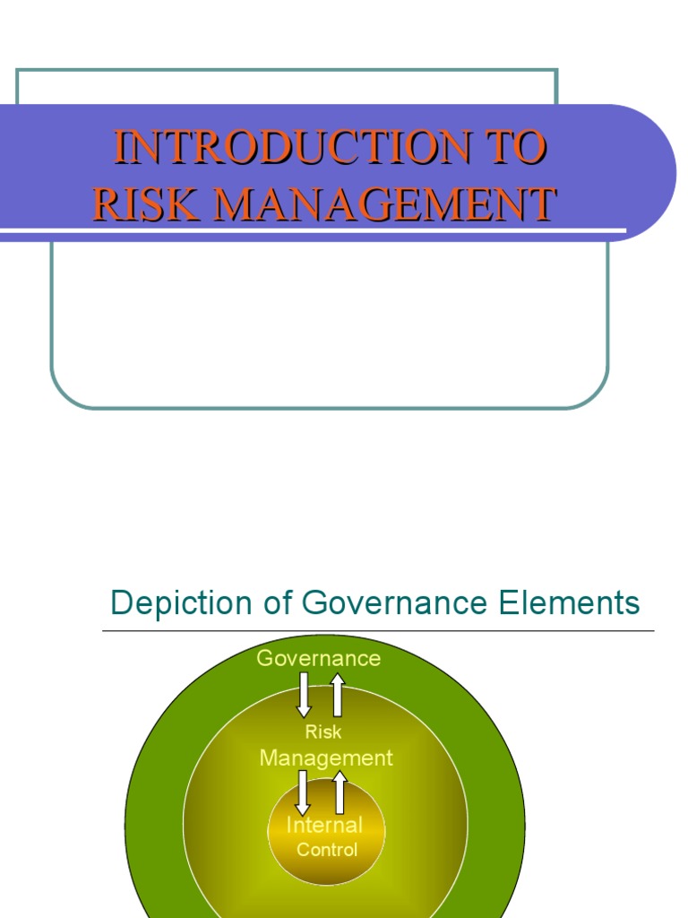 Introduction to Risk Management Overview | PDF | Risk | Risk Management