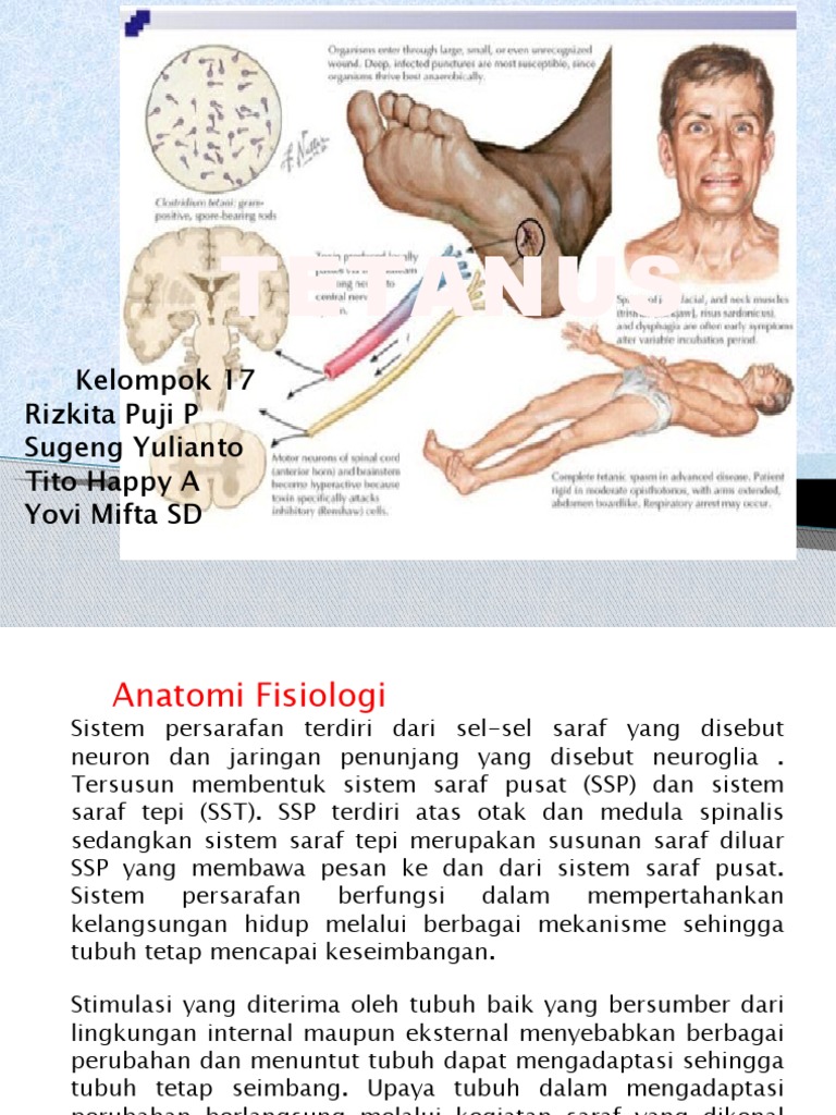 Analisis Patofisiologi Penyakit Tetanus | PDF