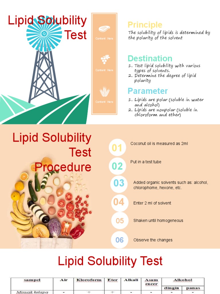 Lipid Solubility Test: Principle | PDF | Solvent | Solubility