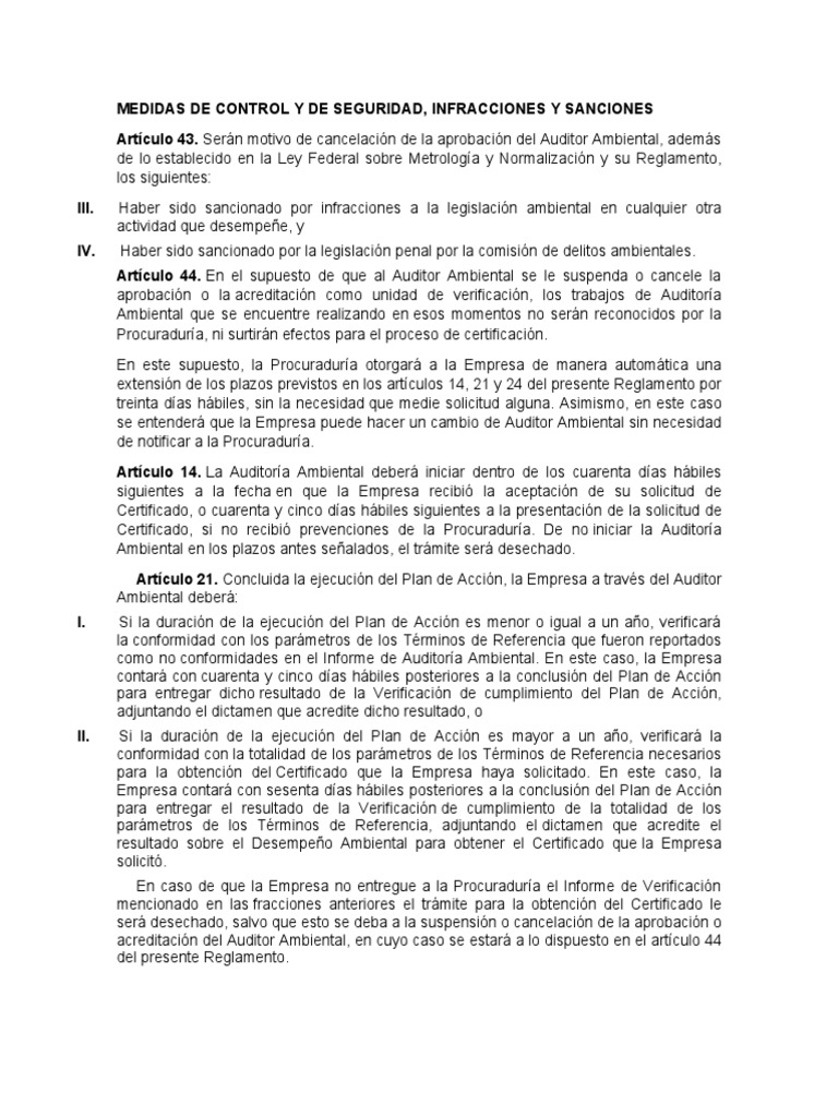 Medidas De Control Y De Seguridad Pdf Entorno Natural Auditoría