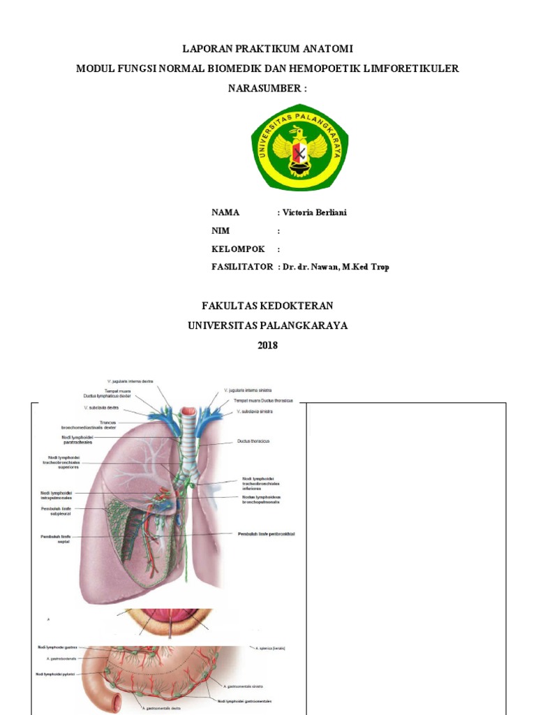 Format Laprak - Anatomi | PDF