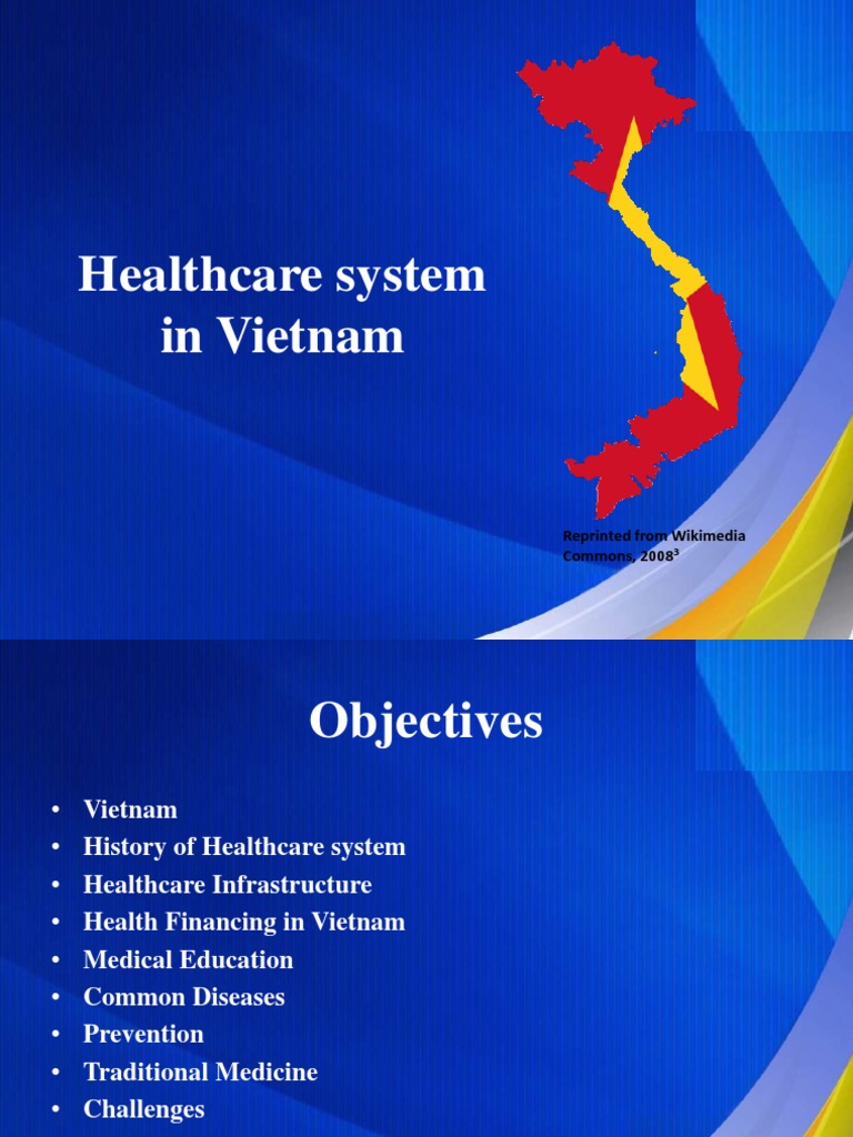 Healthcare System in VN | PDF | Health Care | Health Professional