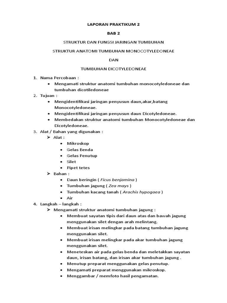 Laporan Prak. Bio Dikotil | PDF