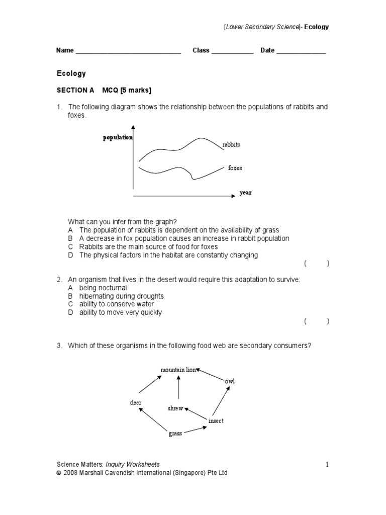 Ecosystem WS3 | PDF | Ecology | Food Web