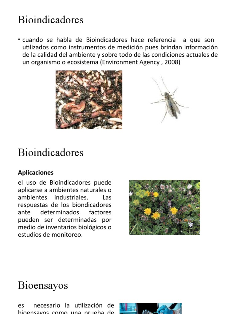 Bioindicadores | PDF