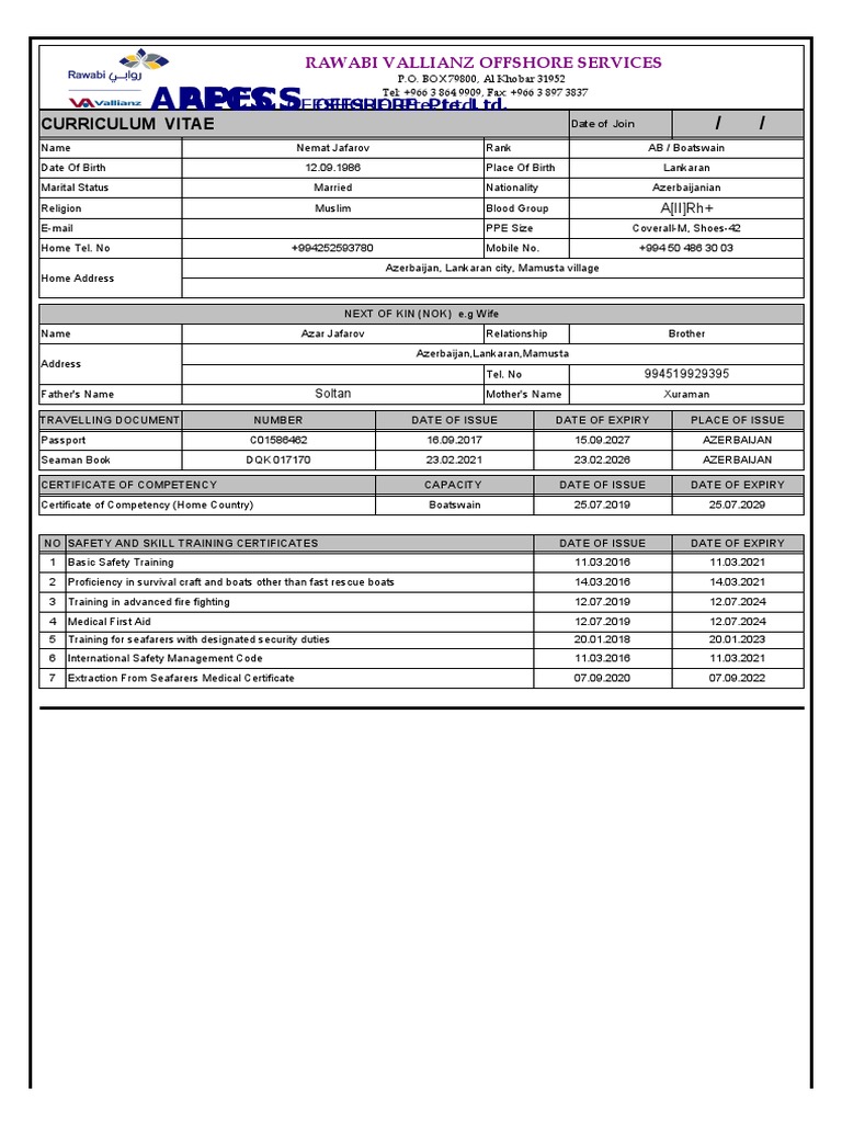 Apecs Apecs Apecs Apecs Apecs: Curriculum Vitae | PDF | Shipping ...
