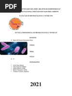 Ficha Tecnica Trichoderma Harzianium PDF | PDF | Hongo | Biología