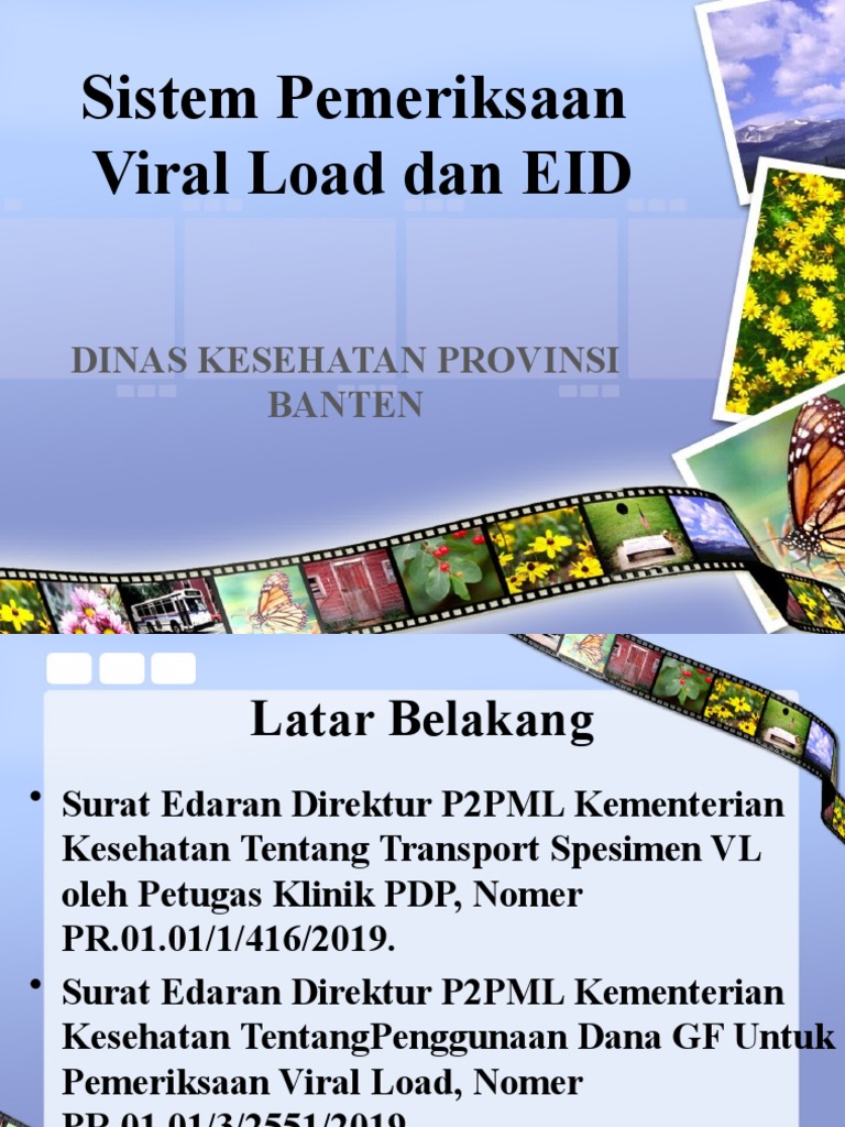 Alur Pemeriksaan Viral Load Dan EID | PDF