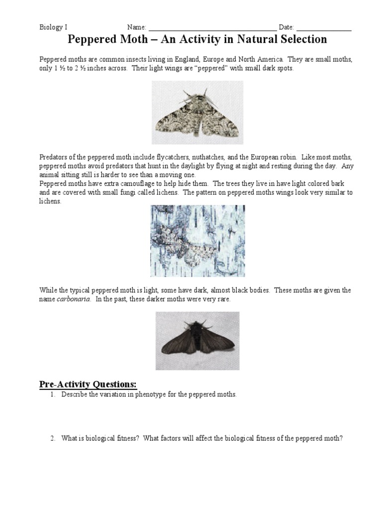 Peppered Moth - An Activity in Natural Selection | PDF | Natural ...
