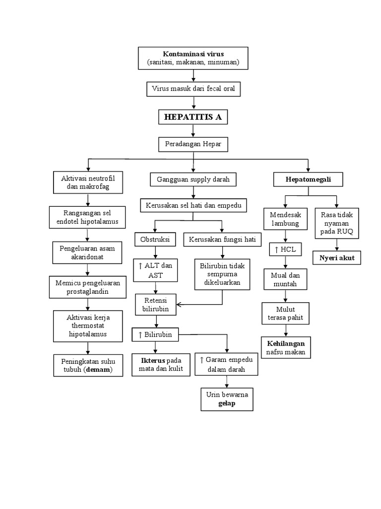 Diagram Alir Patofisiologi Hepatitis A | PDF